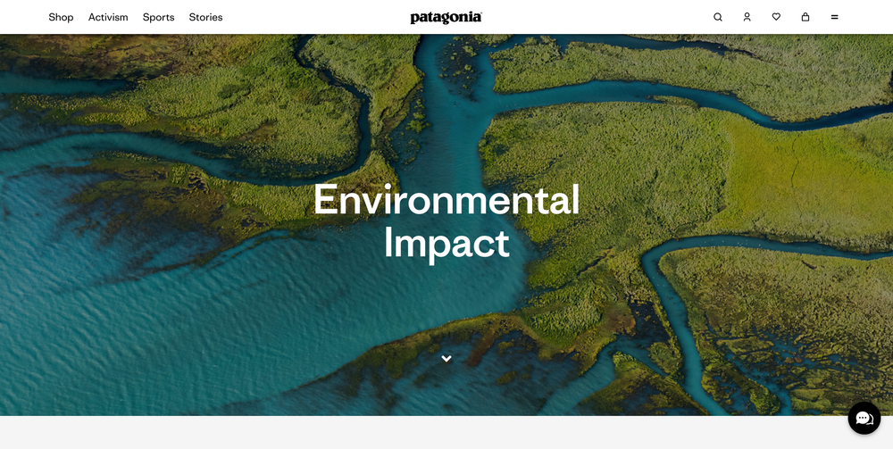 Business Case Study: Patagonia