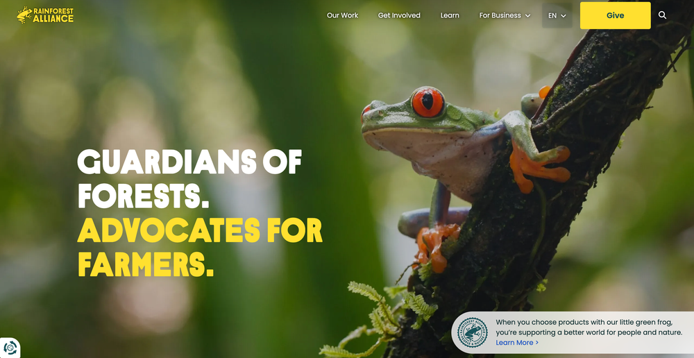 Rainforest Alliance Launches Regenerative Agriculture Certification for ...