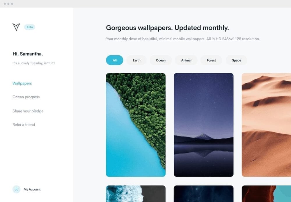 Meet Vera, The Blockchain Platform That Makes it Easy to Offset Your Plastic Footprint - Causeartist