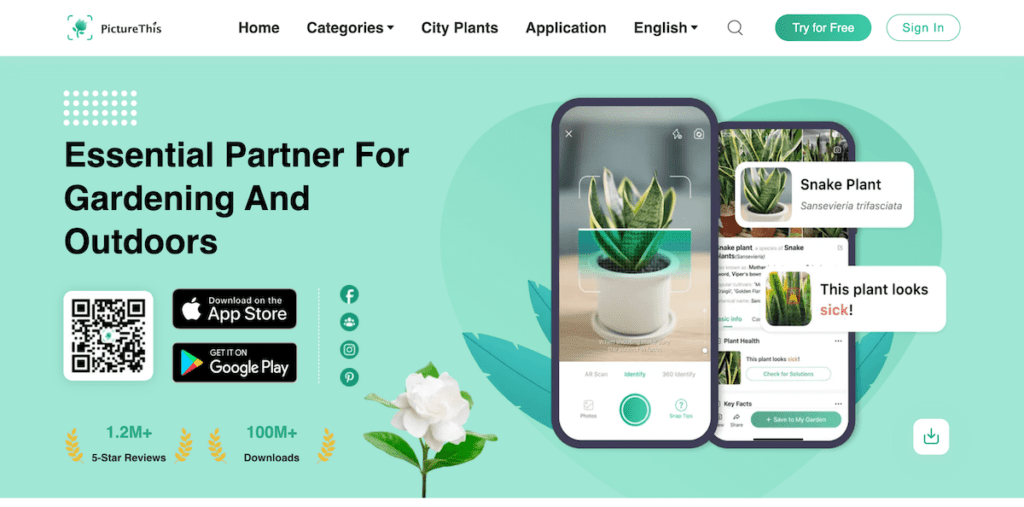 8 Best Plant Identification Apps to Connect with Nature