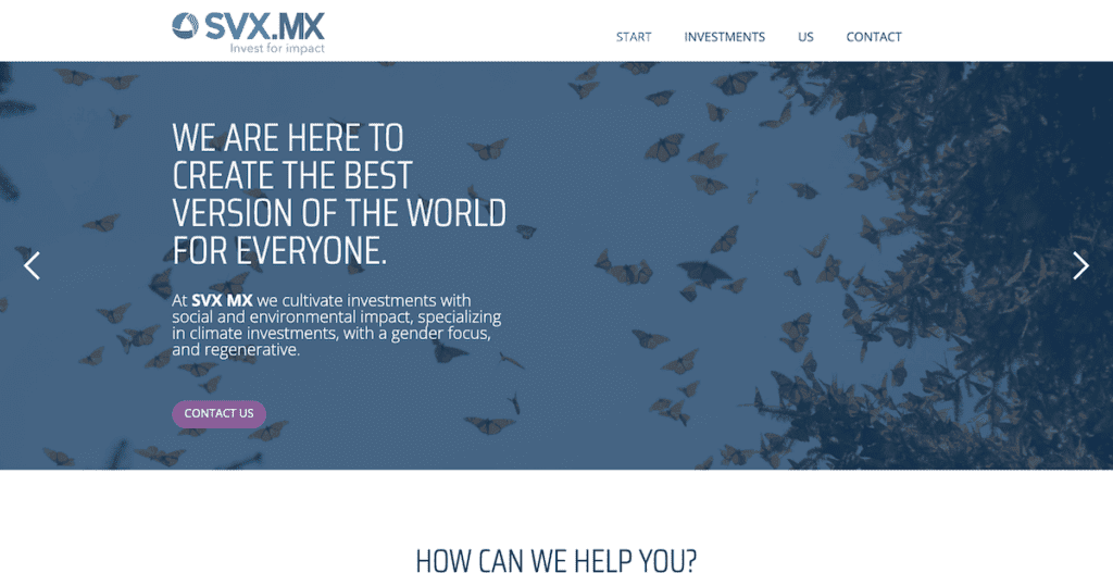 Meet Laura Ortiz Montemayor, the Impact Investor Ecosystem Builder for Mexico and Latin America ...