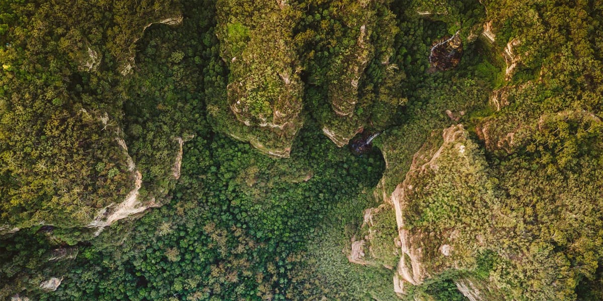 Dendra Systems Raises $15.7M to Expand AI Ecology Platform