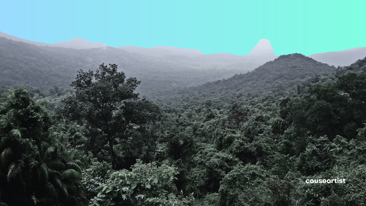 Rainforest Alliance Launches Regenerative Agriculture Certification for ...