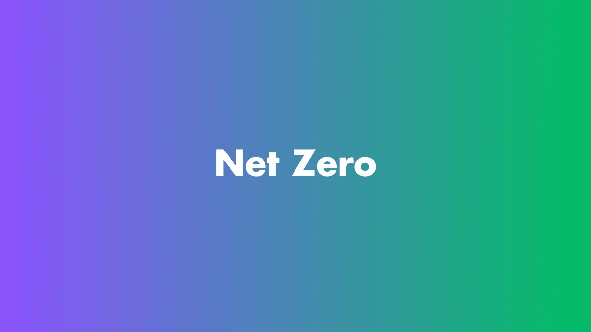What does Net Zero Mean? - Causeartist