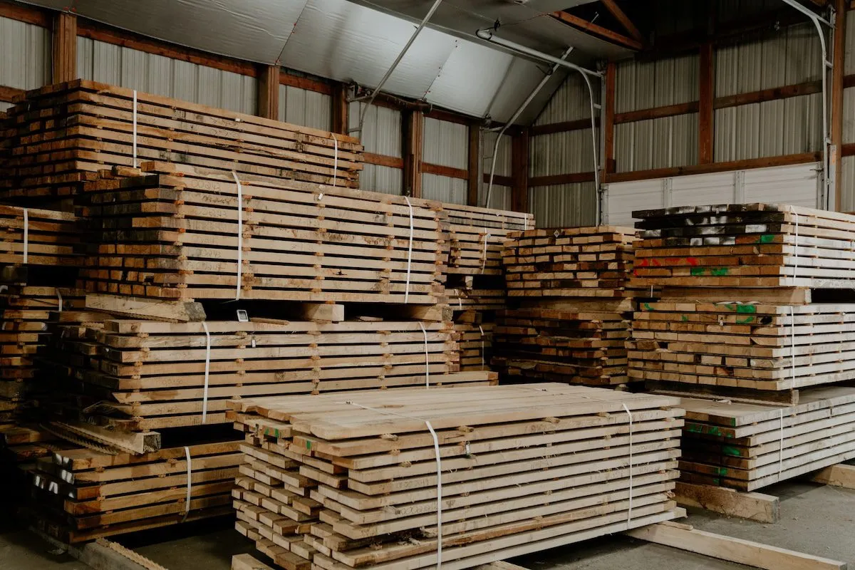 Meet Cambium, the Startup Set to Disrupt the Lumber Industry with ...