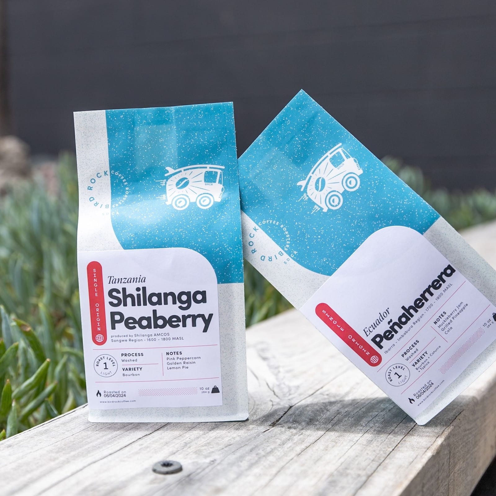 16 Top Impactful Coffee Brands - Causeartist