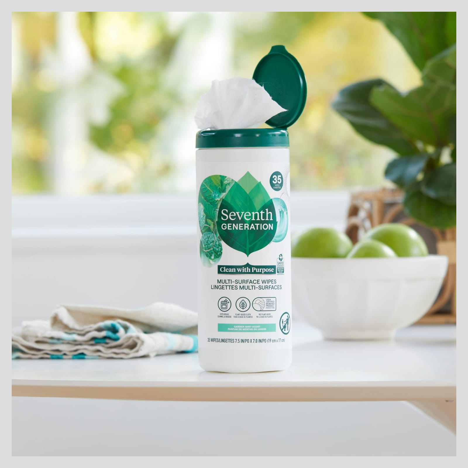 Business Case Study: Seventh Generation