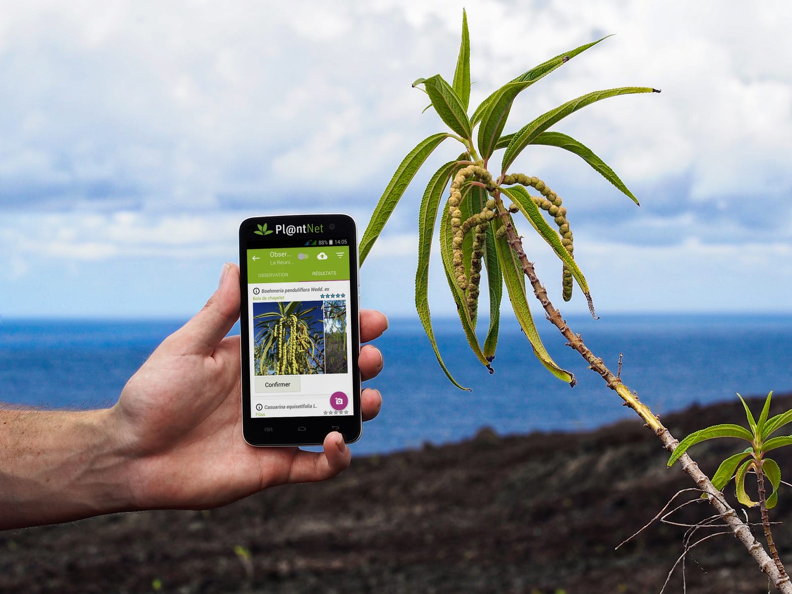 8 Best Plant Identification Apps to Connect with Nature