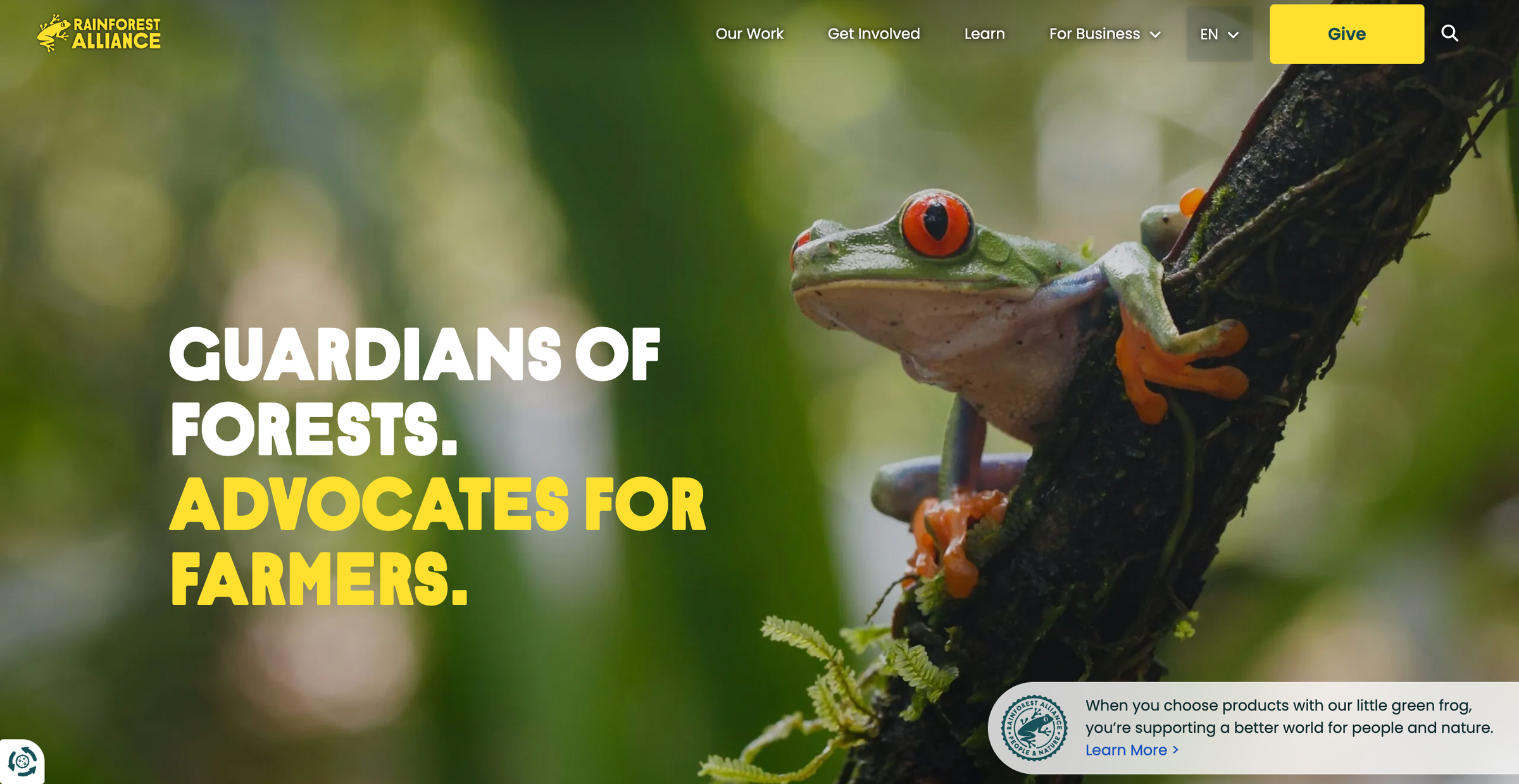 Rainforest Alliance Launches Regenerative Agriculture Certification for ...