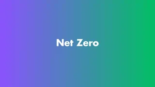 What does Net Zero Mean? - Causeartist