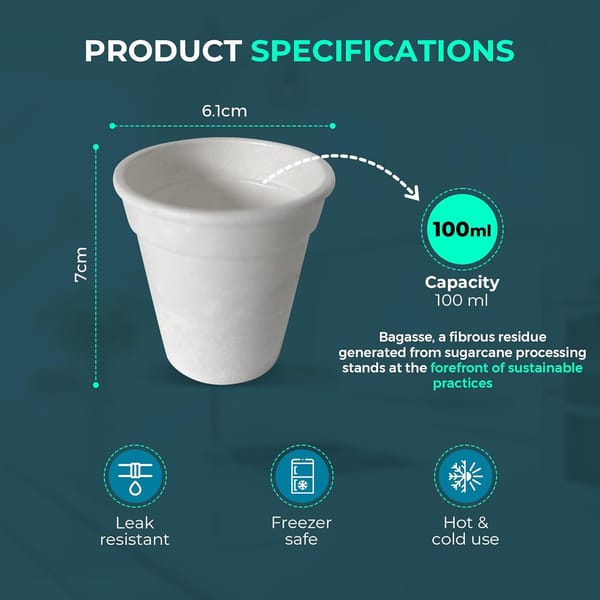 5 Best Biodegradable Cups for Events and Parties