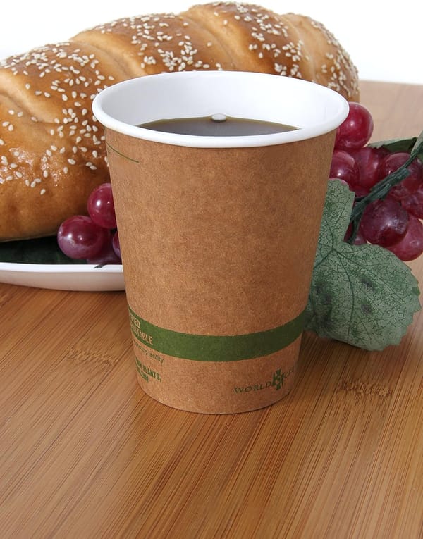 5 Best Biodegradable Cups for Events and Parties