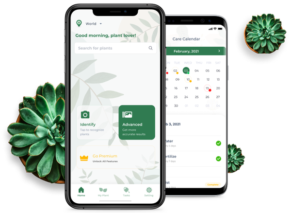8 Best Plant Identification Apps to Connect with Nature