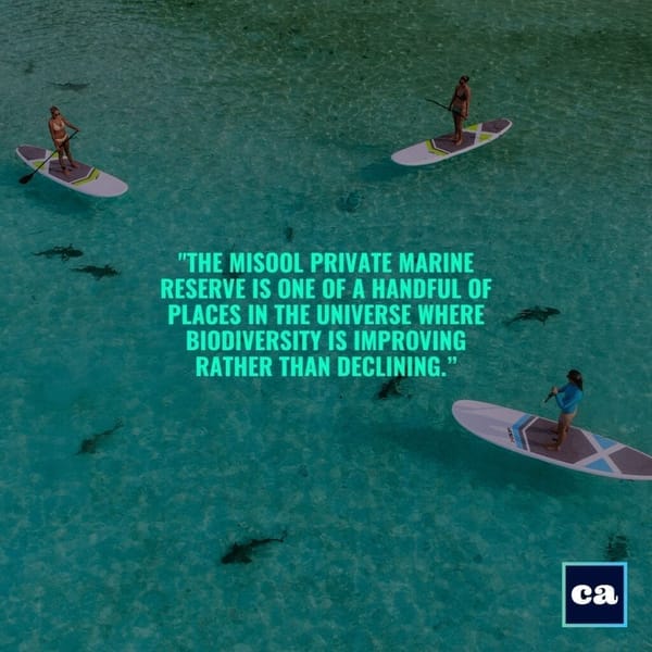 4 Tips To Make Your Eco-Resort Truly Sustainable - Causeartist