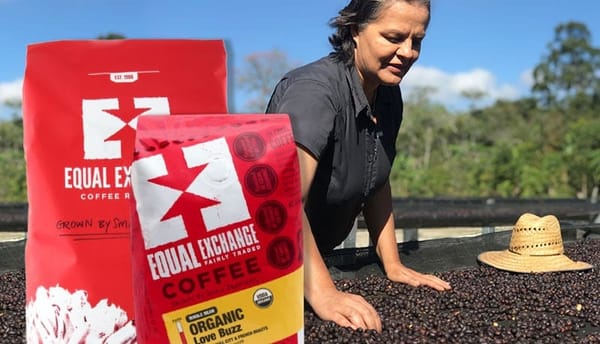 16 Top Impactful Coffee Brands - Causeartist