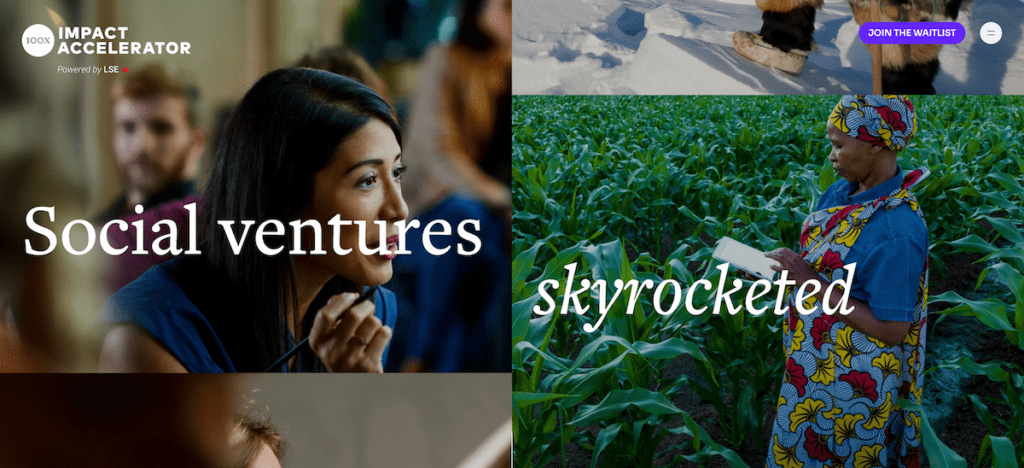 36 Social Impact Accelerators, Fellowships, and Incubators