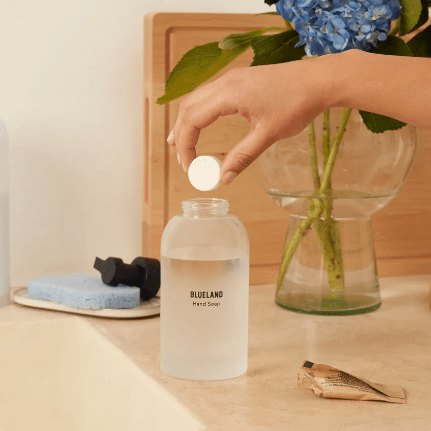 5 Best Blueland Cleaning Products - Causeartist