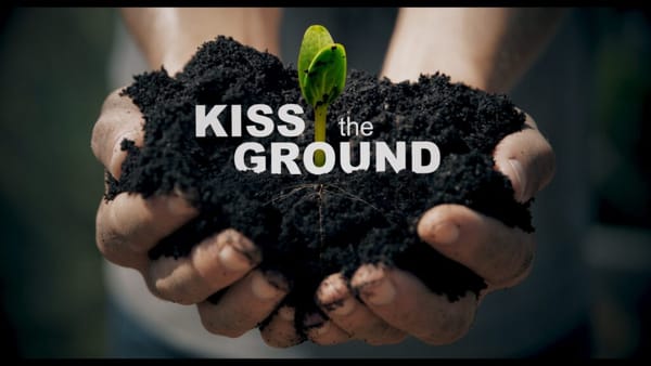 12 Must-Watch Sustainability Documentaries - Causeartist