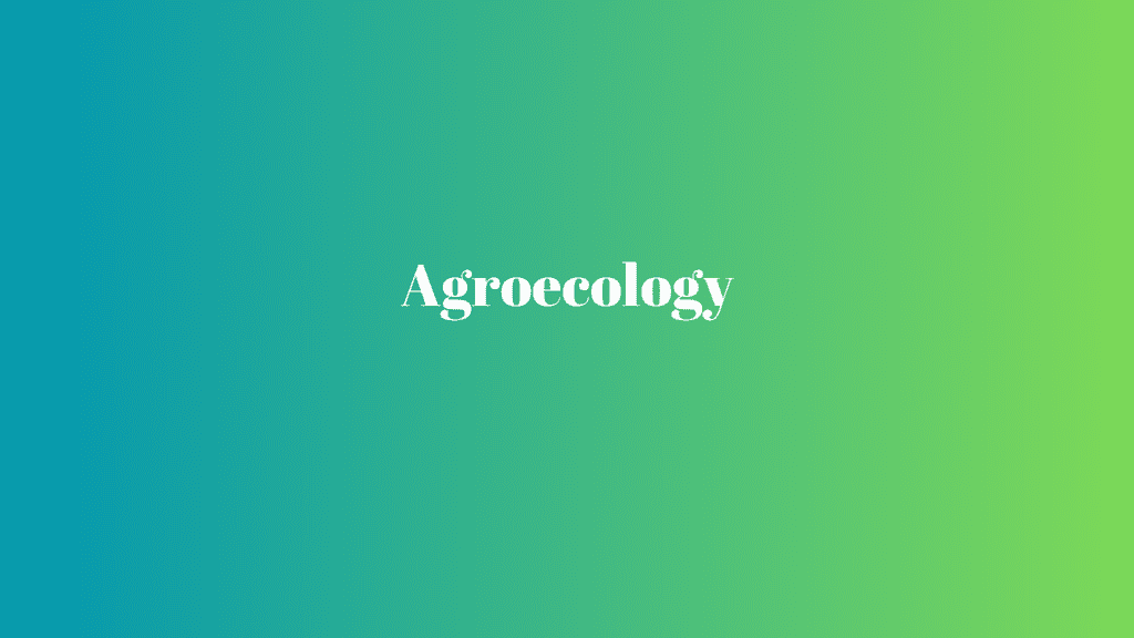Agroecology: Meaning + Examples - Causeartist