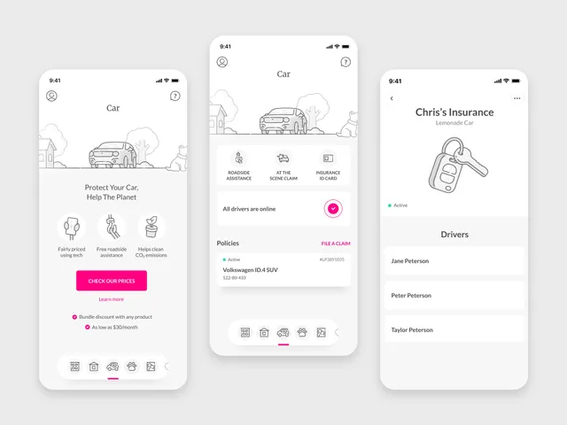 Lemonade Insurance: Transforming Unused Premiums into Global Impact ...