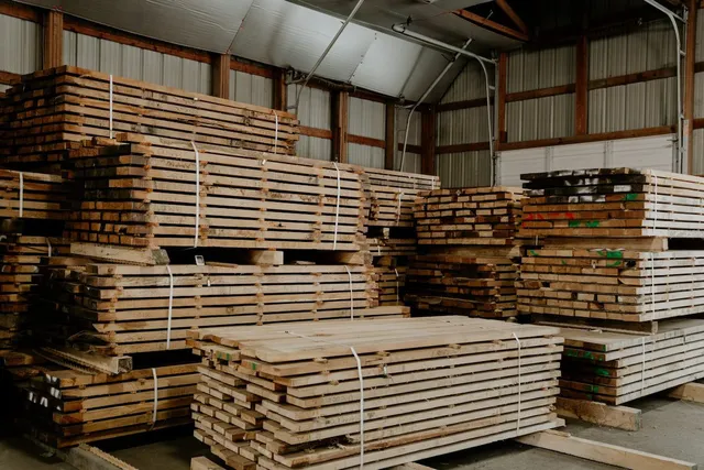 Meet Cambium, the Startup Set to Disrupt the Lumber Industry with ...