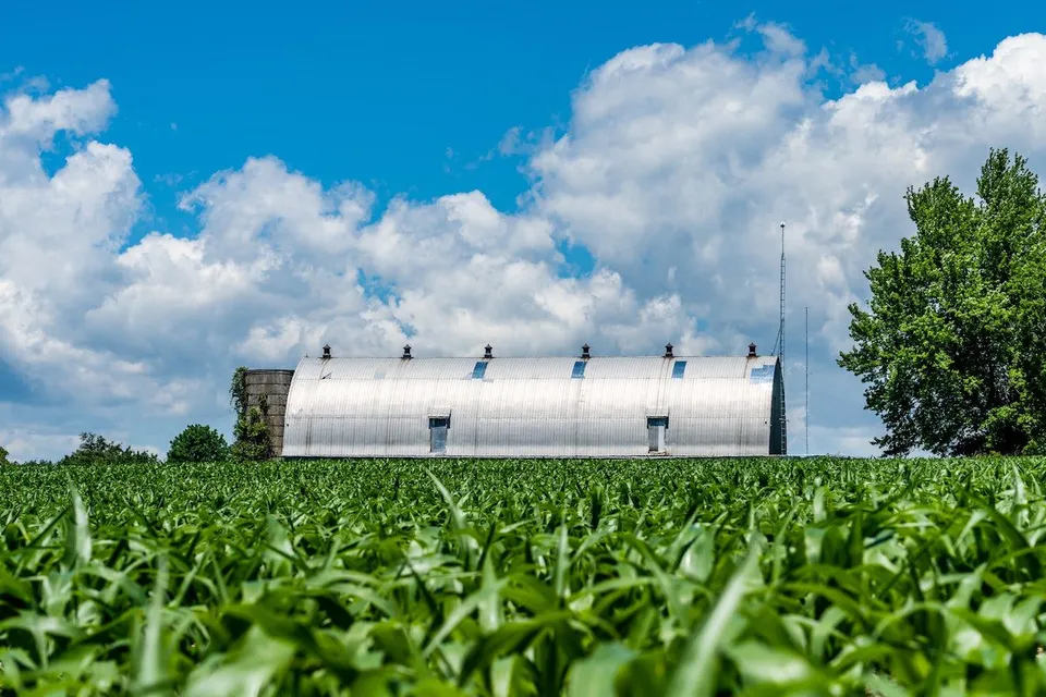 10 Cellular Agriculture Companies Creating Healthy Future Foods ...