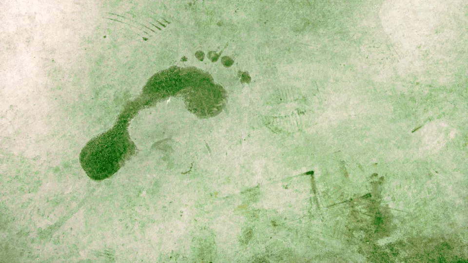 Ecological Footprint: Definition + Understanding