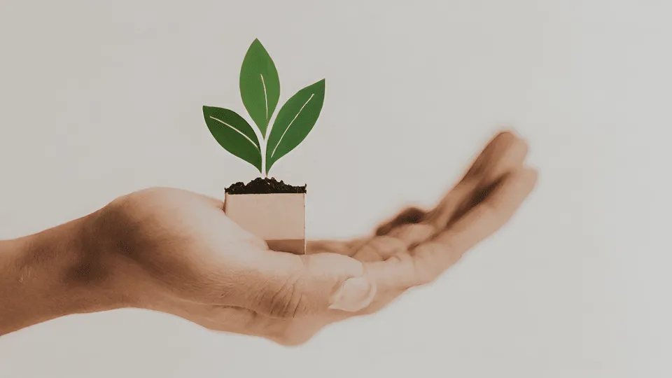74 Impact Investing Firms You Should Know - Causeartist