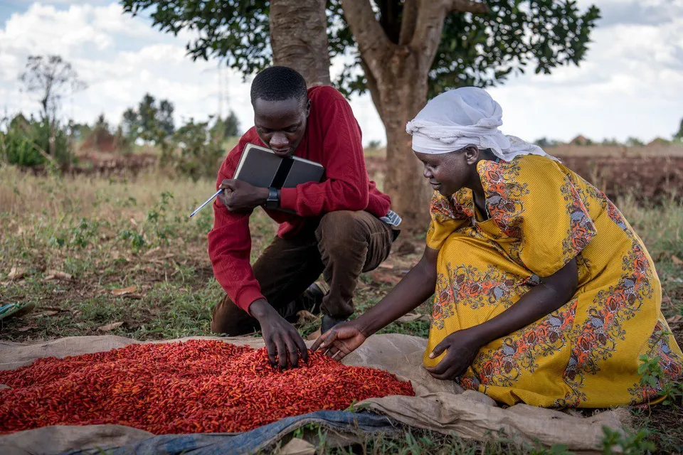 USAID's Development Innovation Ventures Grants $6.5M to Support ...