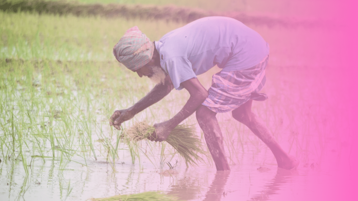 iFarmer is Building a Super App for Millions of Small-Scale Farmers and ...