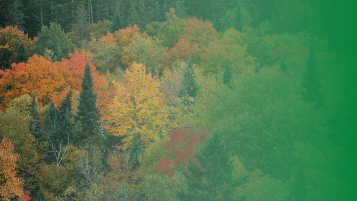 Meet Transcend, an Innovative Green Burial Startup Helping You Become a ...