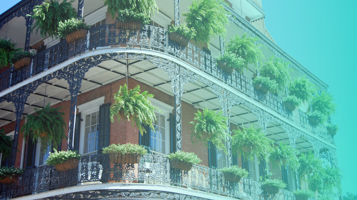 11 New Orleans Nonprofits and Social Enterprises Making a Difference ...