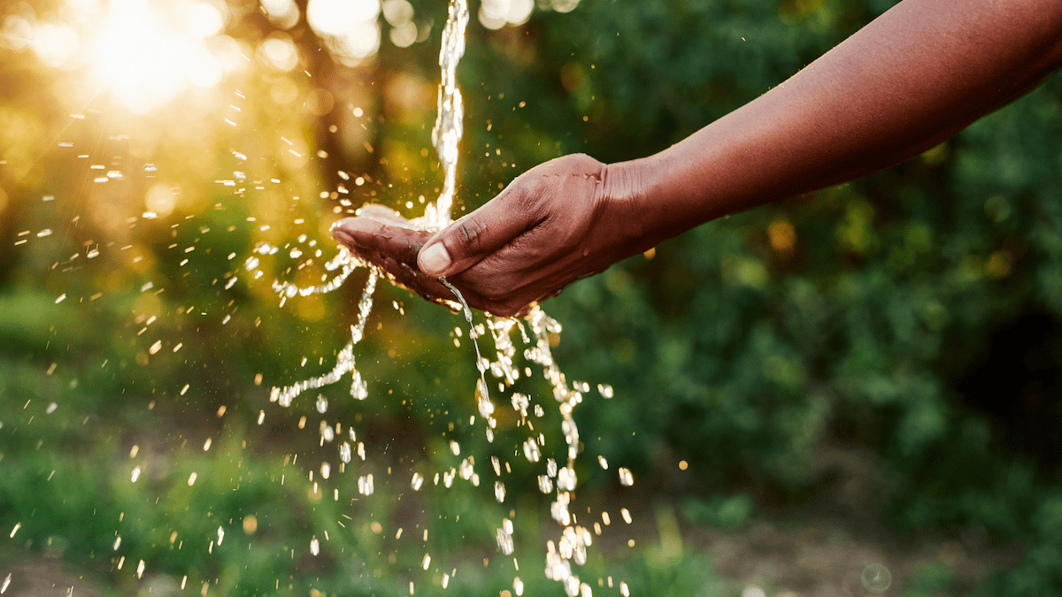 Water Conservation: Explained + Benefits