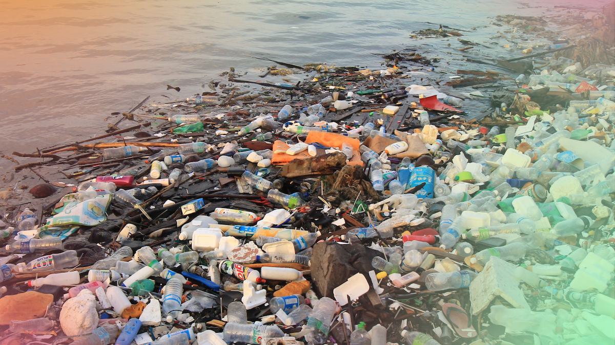 Meet CleanHub, the Plastic Pollution Platform for a Circular Economy ...