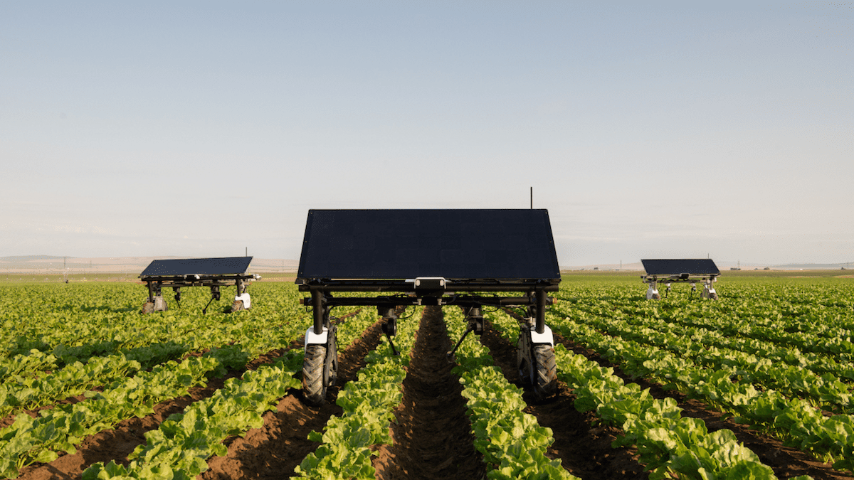 Aigen Raises $12M to Scale AI-Powered Solar Robot Fleet for Sustainable Farming - Causeartist