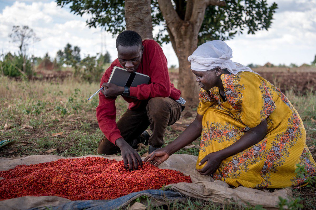 USAID's Development Innovation Ventures Grants $6.5M to Support ...