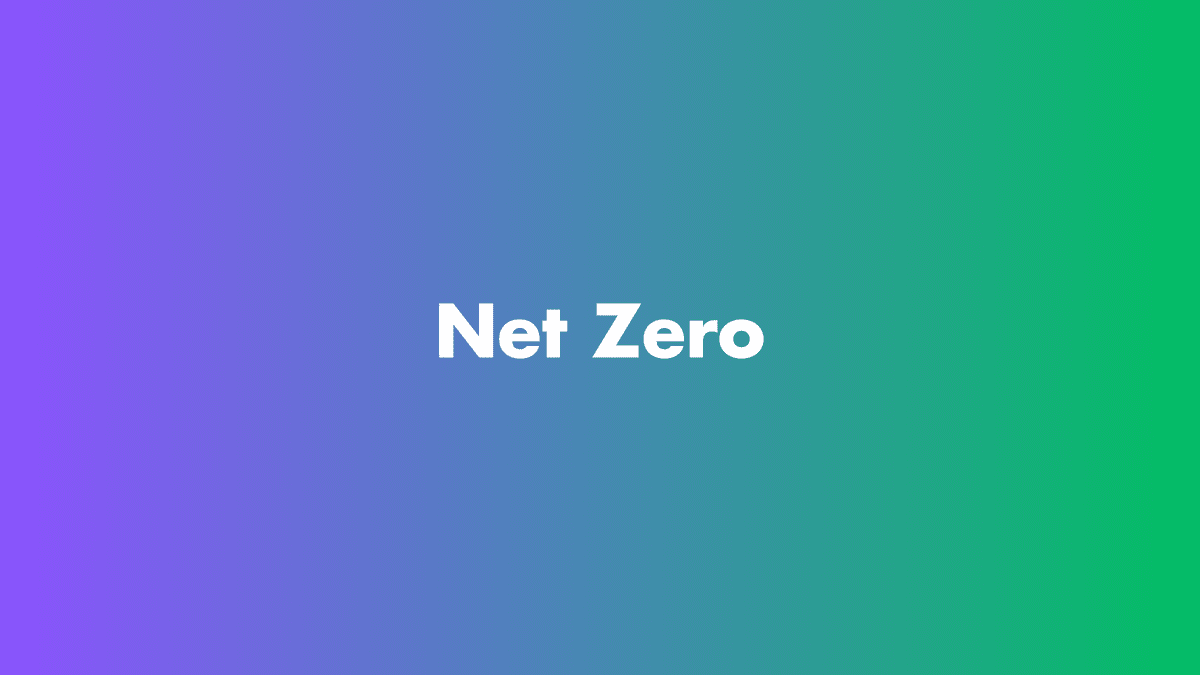 What does Net Zero Mean? - Causeartist